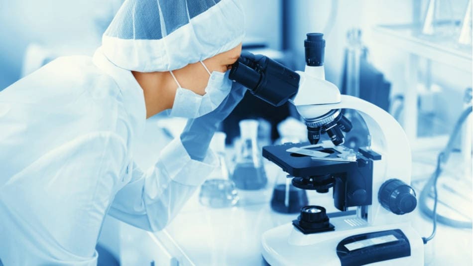 ¿Qué es la Histocompatibilidad? Sus claves e importancia | UNIR