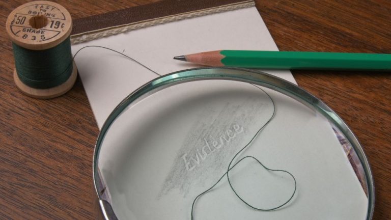 El informe forense: para qué sirve y cómo hacerlo | UNIR