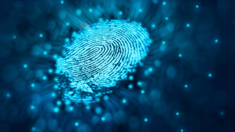 Prueba pericial: ¿Qué es y para qué sirve? | UNIR