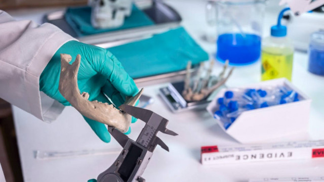 ¿Qué es un perito judicial criminólogo y qué hace? | UNIR