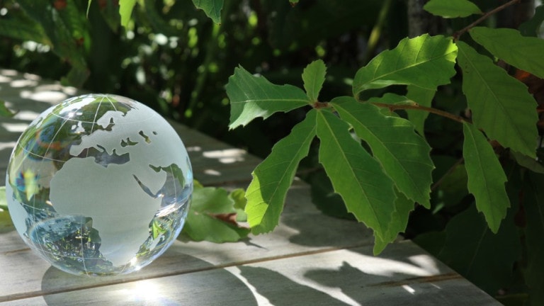 ¿Qué es PNUMA? Objetivos y características del programa | UNIR