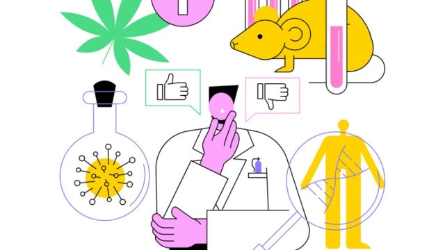 La bioética en medicina: fundamentos | UNIR