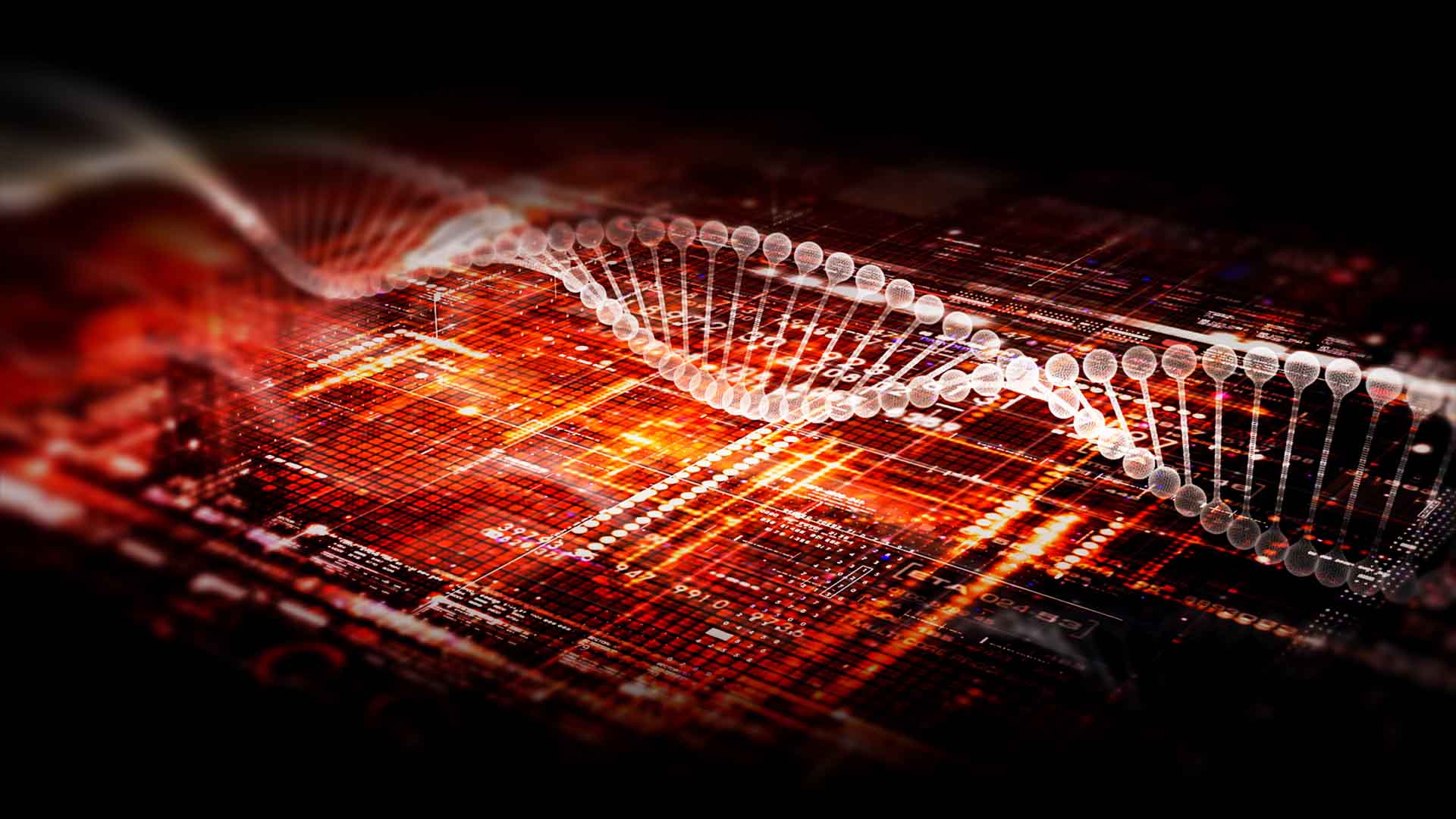 Admisión al Máster en Bioinformática | UNIR