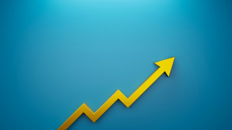 Pricing manager: funciones y requisitos de este perfil | UNIR