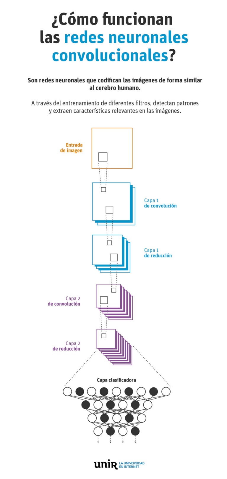 ¿Qué son las redes neuronales convolucionales y para qué se usan? | UNIR