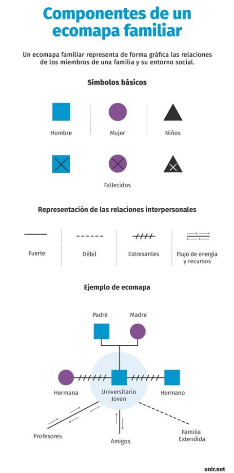 El ecomapa y su utilidad en Trabajo Social | UNIR